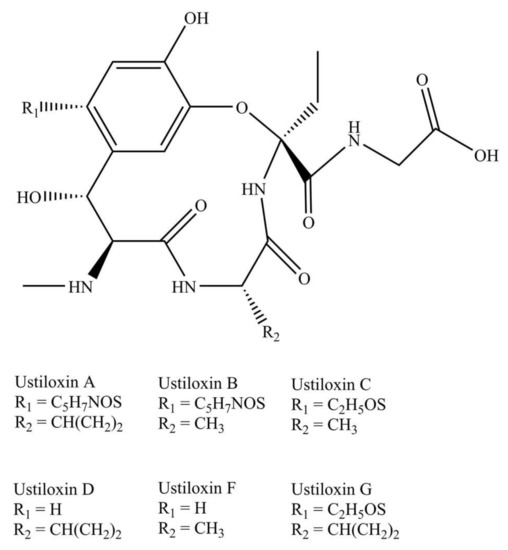 Development of Generic Immuno-Magnetic Bead-Based Enzyme-Linked ...