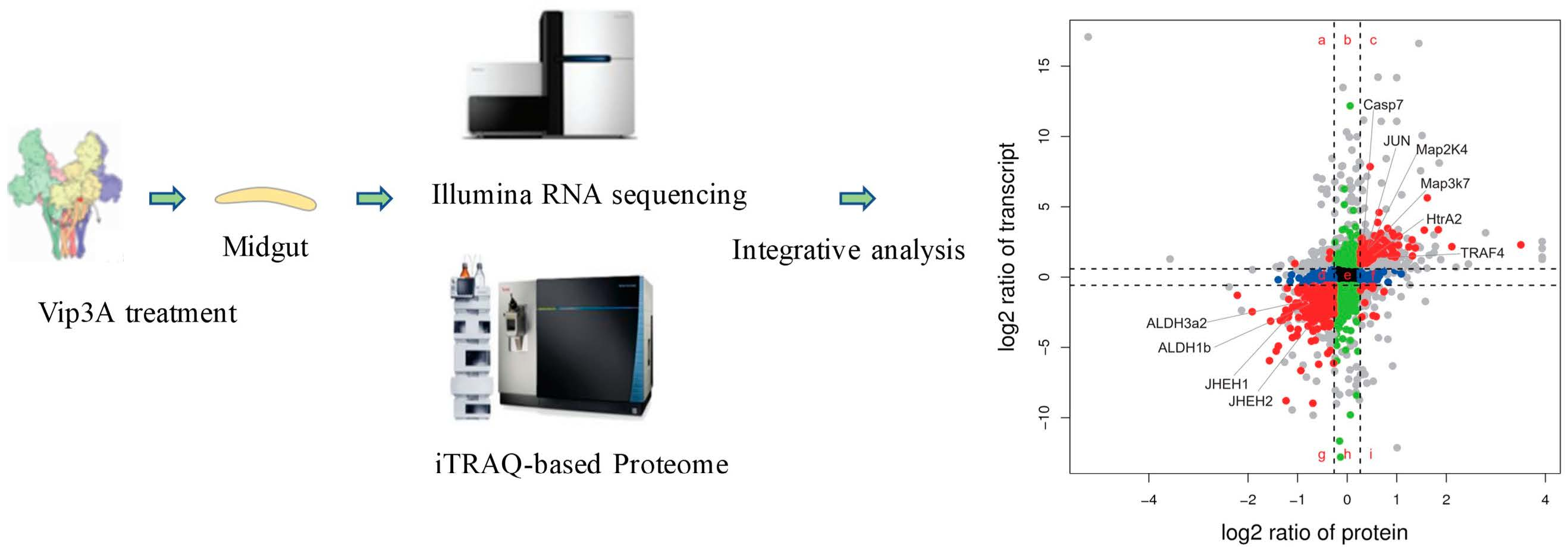 Toxins Free Full Text An Integrative Analysis Of Transcriptomics