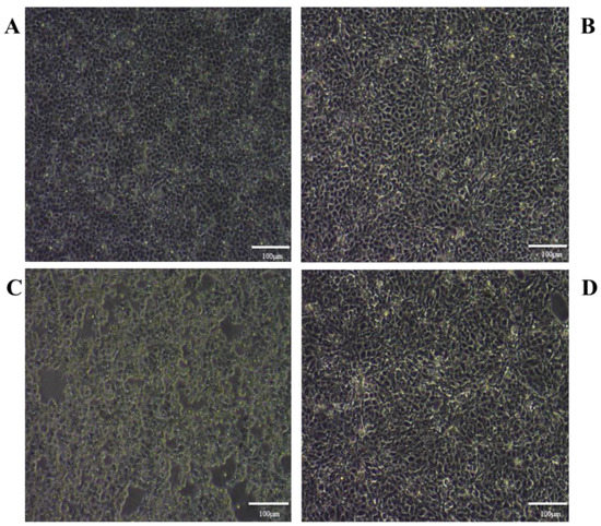Toxins | Free Full-Text | Low-Concentration T-2 Toxin Attenuates ...