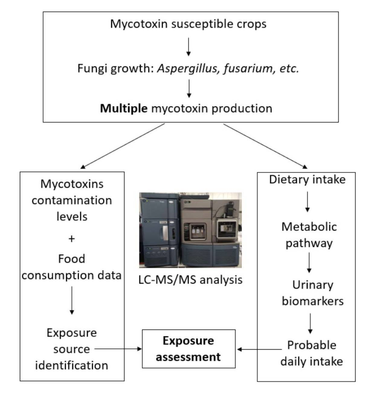 Toxins | Free Full-Text | Super-Sensitive LC-MS Analyses of Exposure ...