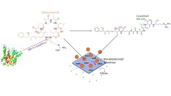 Toxins | Free Full-Text | Microcystin-LR Removal from Water via ...