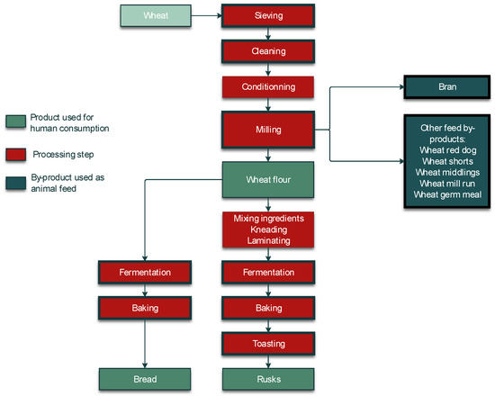 Toxins | Free Full-Text | Factors during Production of Cereal-Derived ...