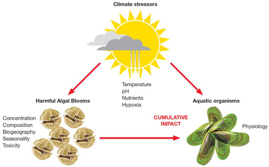 Toxins | Free Full-Text | Effects of Harmful Algal Blooms on Fish and ...