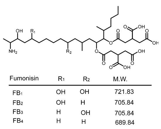 Measurement of Fumonisins in Maize Using a Portable Mass Spectrometer