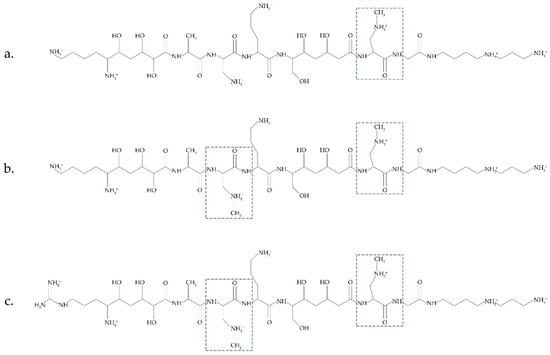 Non-Proteinogenic Amino Acid β-N-Methylamino-L-Alanine (BMAA ...