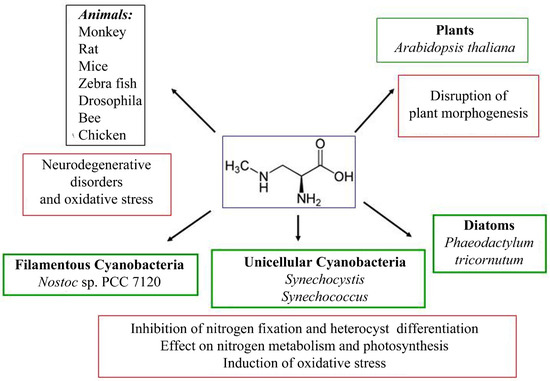 Toxins | An Open Access Journal from MDPI