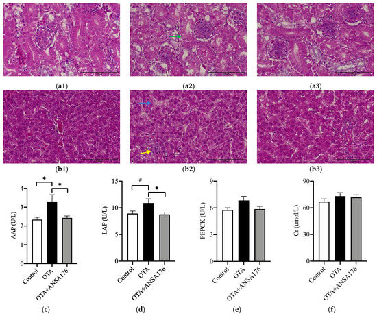 Alcaligenes Faecalis Gram Stain