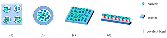 Toxins | Free Full-Text | Immobilization of Microbes for Biodegradation of Microcystins: A Mini ...