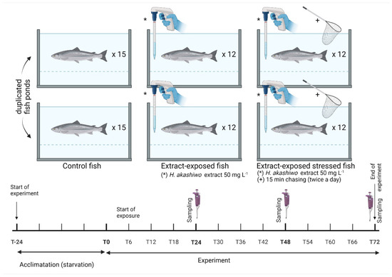 Toxins | Free Full-Text | Physiological Response of Atlantic Salmon ...