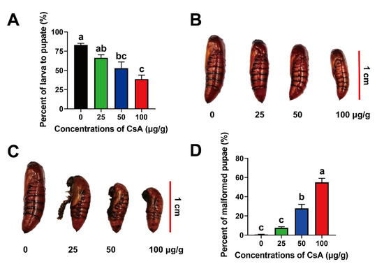 Toxins | Free Full-Text | Cyclosporin A as a Source for a Novel ...