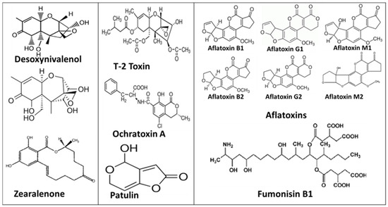 Current Review of Mycotoxin Biodegradation and Bioadsorption ...