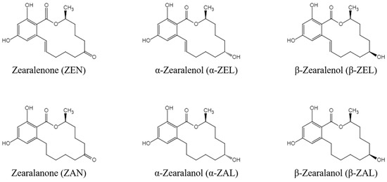Determination of Zearalenone and Its Derivatives in Feed by Gas ...