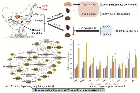 Toxins | Free Full-Text | Integrated Transcriptome Analysis Reveals ...