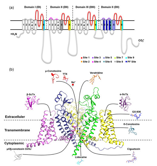 Exploring the Pivotal Components Influencing the Side Effects Induced ...