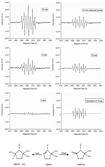 Effect of Plasma-Activated Water Bubbles on Fusarium graminearum ...