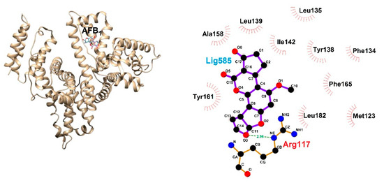 Computational Studies of Aflatoxin B1 (AFB1): A Review