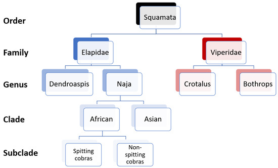 Metabolome-Based Classification of Snake Venoms by Bioinformatic Tools