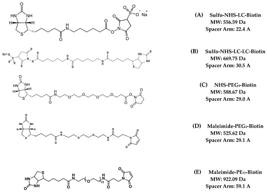 Streptavidin-Saporin: Converting Biotinylated Materials into Targeted ...