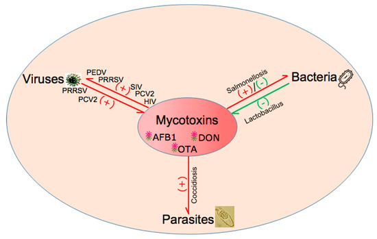 Immunotoxicity of Three Environmental Mycotoxins and Their Risks of ...