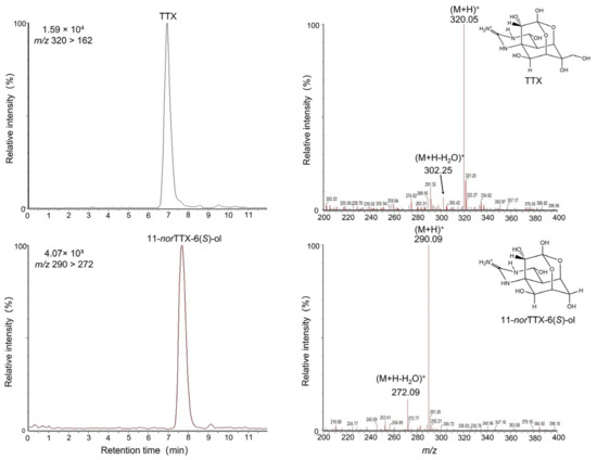 Tetrodotoxin Profiles in Xanthid Crab Atergatis floridus and Blue-Lined ...