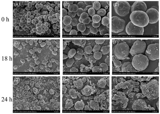 Discovery of a High-Efficient Algicidal Bacterium against Microcystis ...