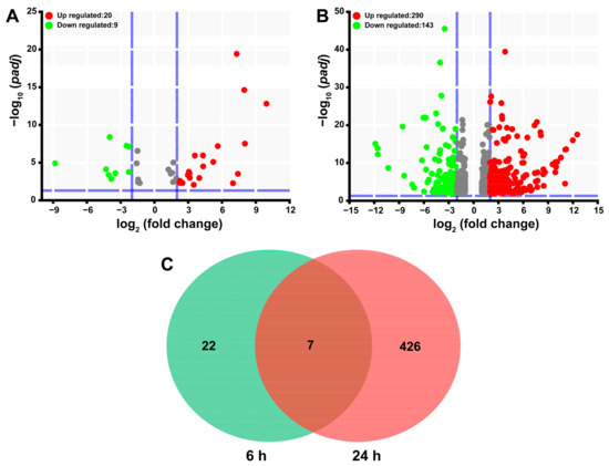Molecular Characterization and Functional Analysis of the Dipeptidyl ...