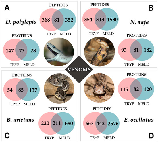 Next-Generation Sequencing for Venomics: Application of Multi-Enzymatic ...