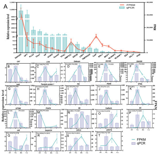 Multi-Omic Identification of Venom Proteins Collected from Artificial ...