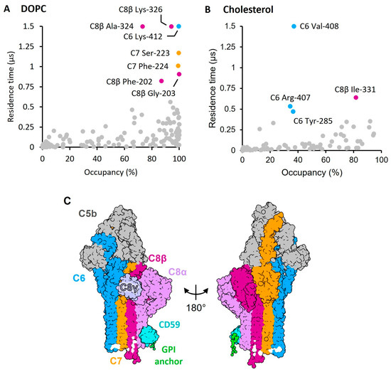 Dynamics and Molecular Interactions of GPI-Anchored CD59
