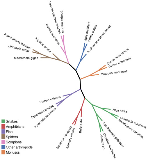 Toxins | Free Full-Text | Discovering Venom-Derived Drug Candidates ...