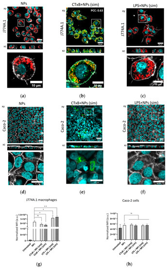 The Functions of Cholera Toxin Subunit B as a Modulator of Silica ...