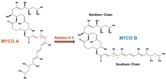 Mycolactone A vs. B: Multiscale Simulations Reveal the Roles of ...