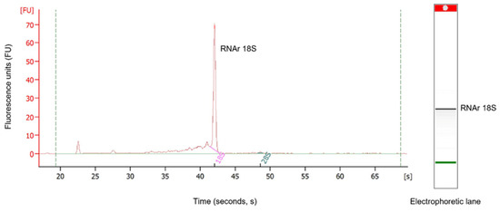 Unveiling the Protein Components of the Secretory-Venom Gland and Venom ...