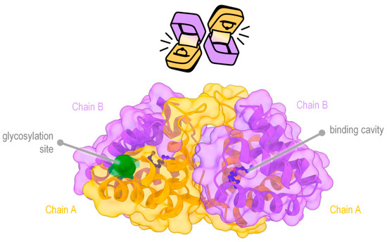 Slowly Making Sense: A Review of the Two-Step Venom System within Slow ...