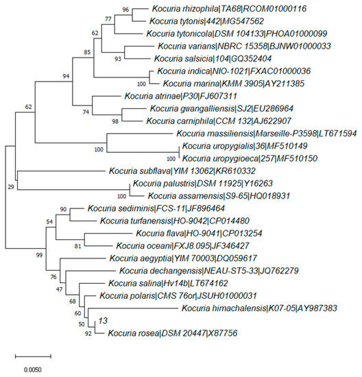 Toxins | Free Full-Text | Isolation and Optimization of Aflatoxin B1 Degradation by Uniform ...