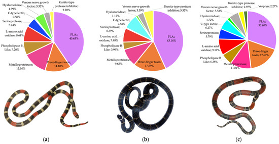 Unveiling the Venom Composition of the Colombian Coral Snakes Micrurus ...