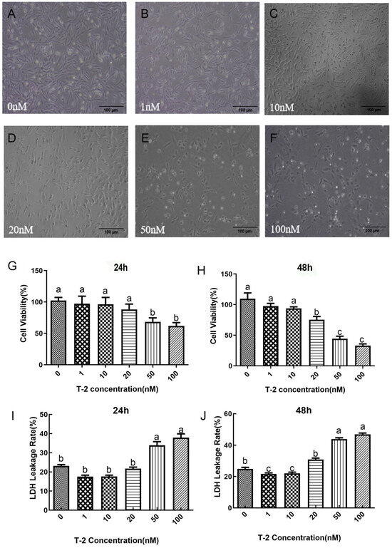 Unraveling the Nrf2-ARE Signaling Pathway in the DF-1 Chicken ...