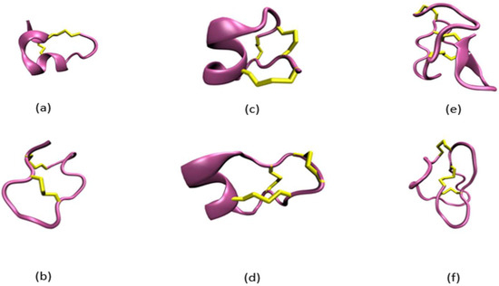 Conotoxin Prediction: New Features to Increase Prediction Accuracy