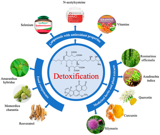Toxins Free Full Text Current Knowledge Of Individual And Combined