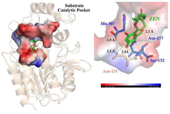 A Hydrolase Produced by Rhodococcus erythropolis HQ Is Responsible for ...
