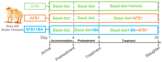 Bile Acids Promote Hepatic Biotransformation and Excretion of Aflatoxin ...