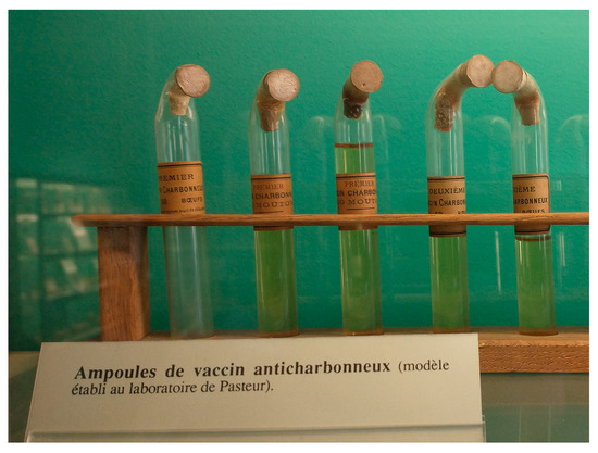 Bacillus anthracis, “la maladie du charbon”, Toxins, and Institut Pasteur