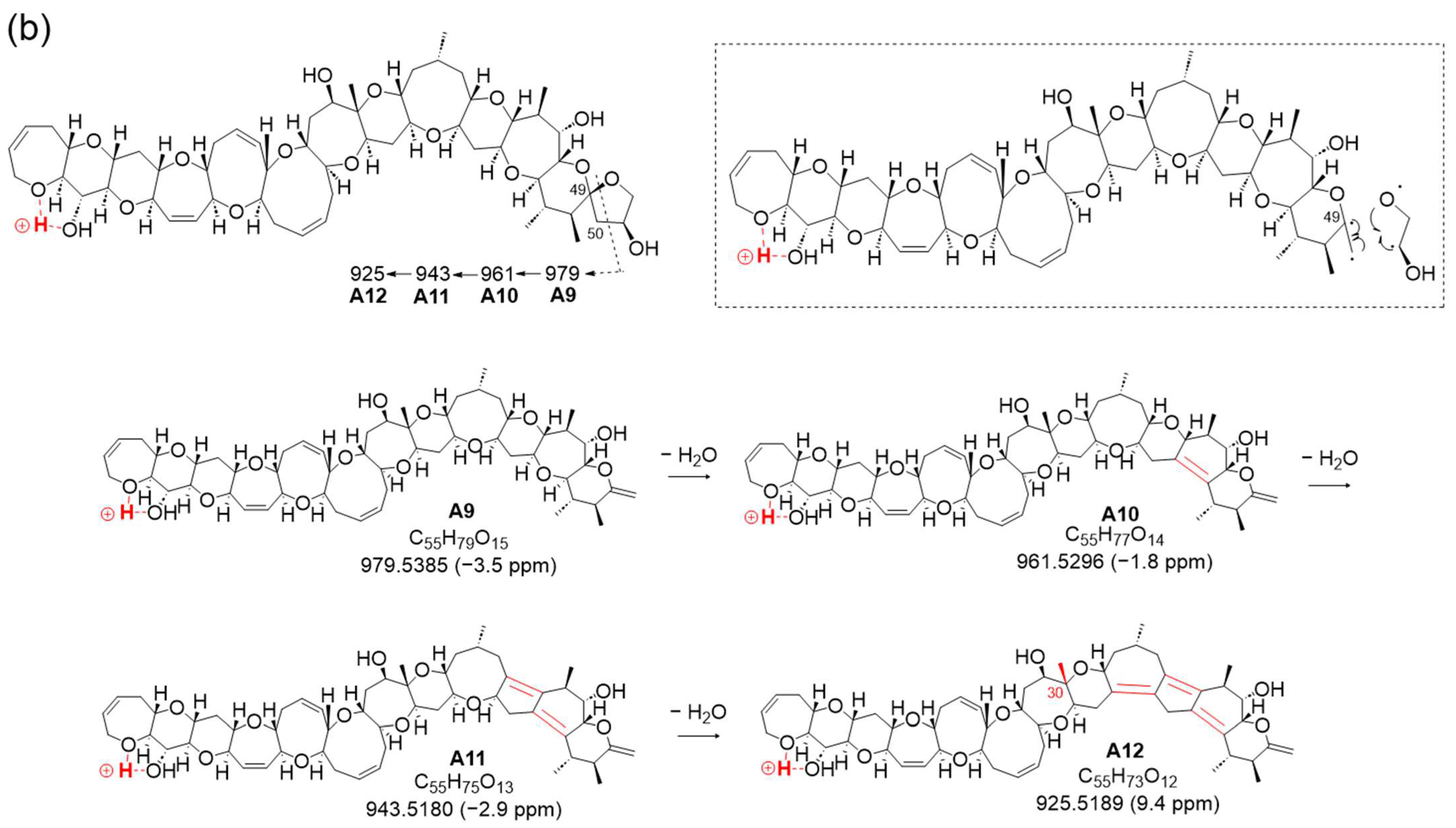 Structural Assignment of the Product Ion Generated from a Natural ...