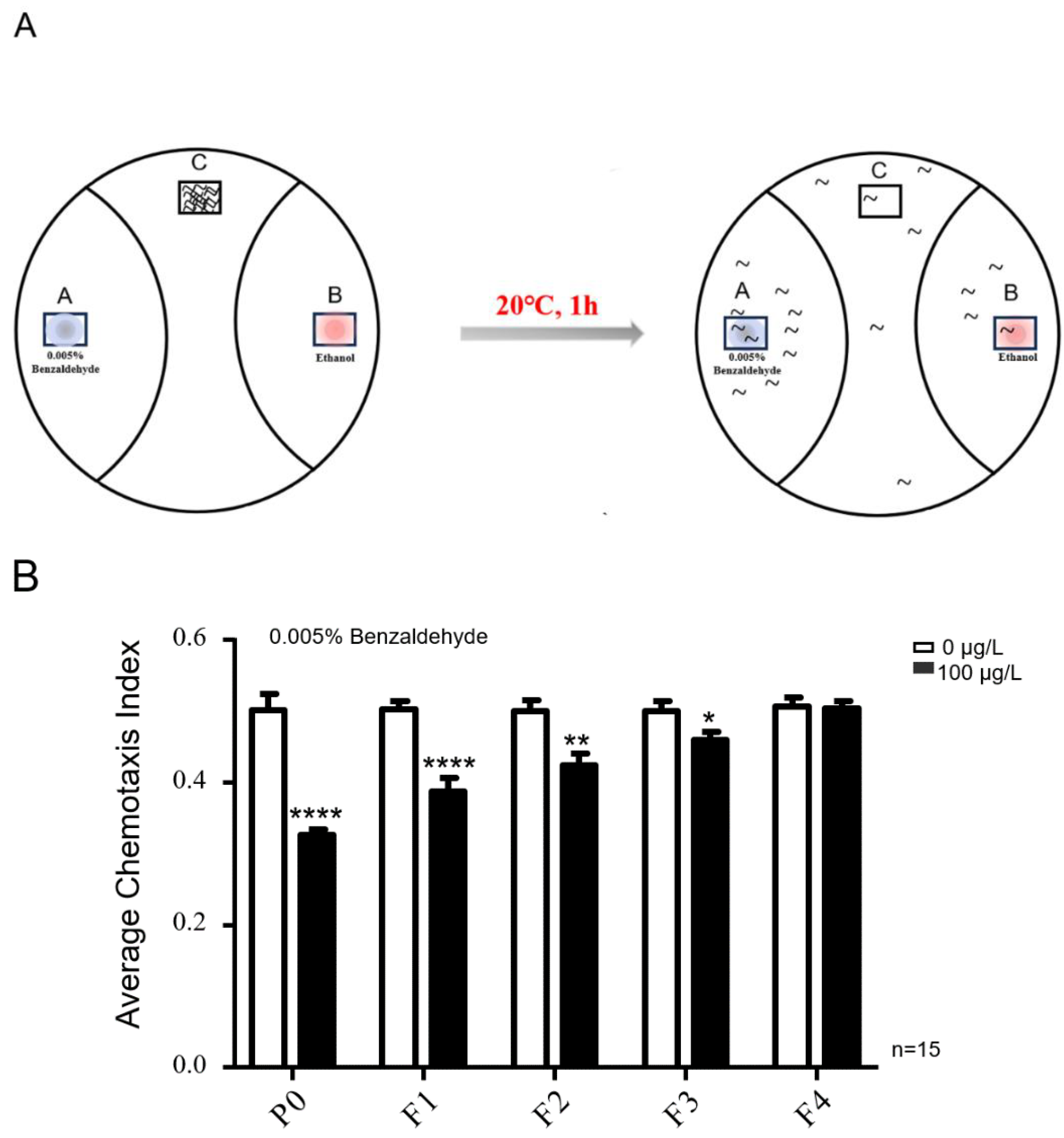 Mutations at Two Key Sites in PP2A Safeguard Caenorhabditis elegans ...