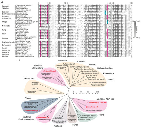 Specificity of DNA ADP-Ribosylation Reversal by NADARs