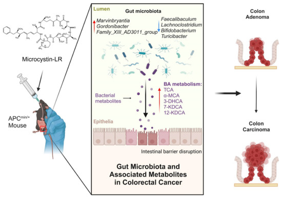 Exposure to Microcystin-LR Promotes Colorectal Cancer Progression by ...