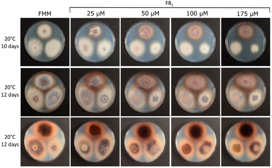 Mechanism of Fumonisin Self-Resistance: Fusarium verticillioides ...