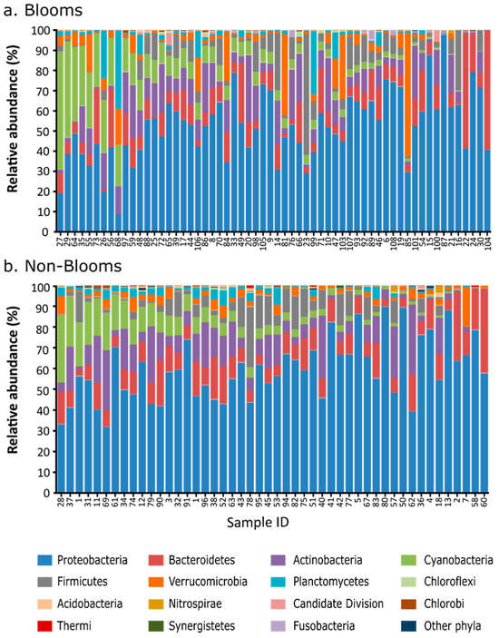 Characterization of Taxonomic and Functional Dynamics Associated with ...