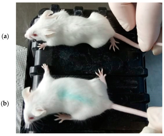 Selection of Candidate Monoclonal Antibodies for Therapy of Botulinum ...