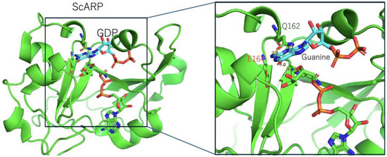 General ADP-Ribosylation Mechanism Based on the Structure of ADP ...